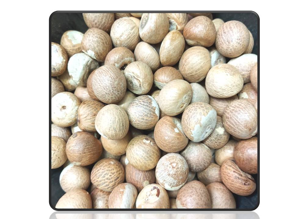 supari(betel nut,areca nut) wholesaler,supari cutting machine manufacturer.